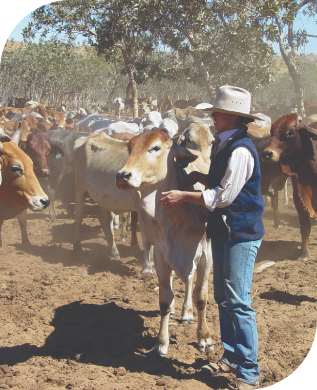 QWAL Program (Queensland Women In Agriculture Leadership Program ...